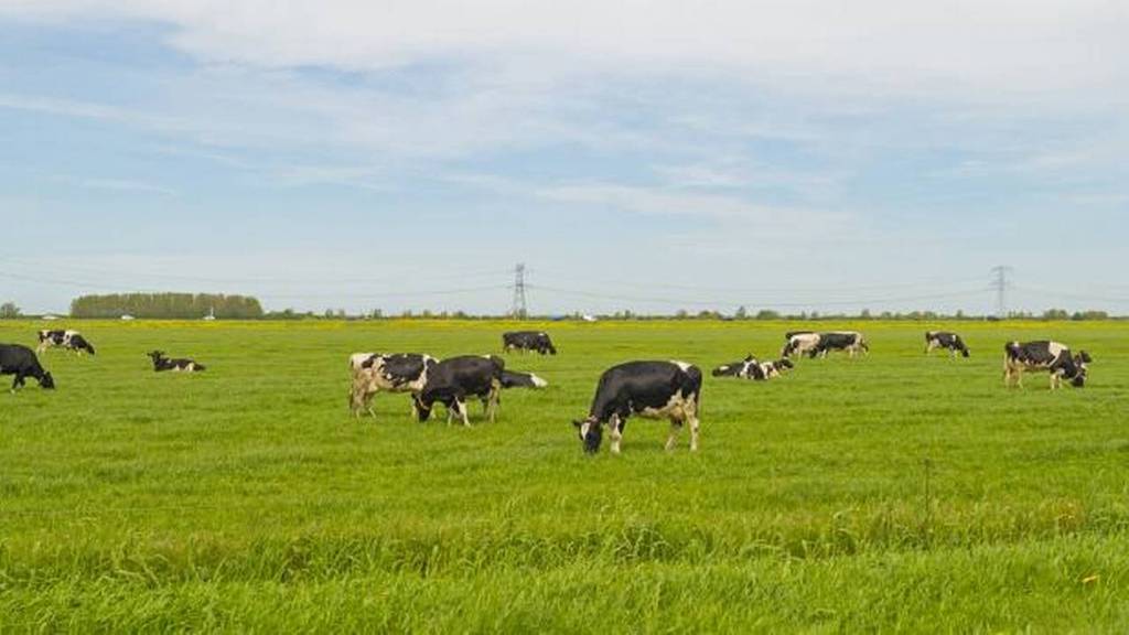 Richard Smit | Het Financieele Dagblad